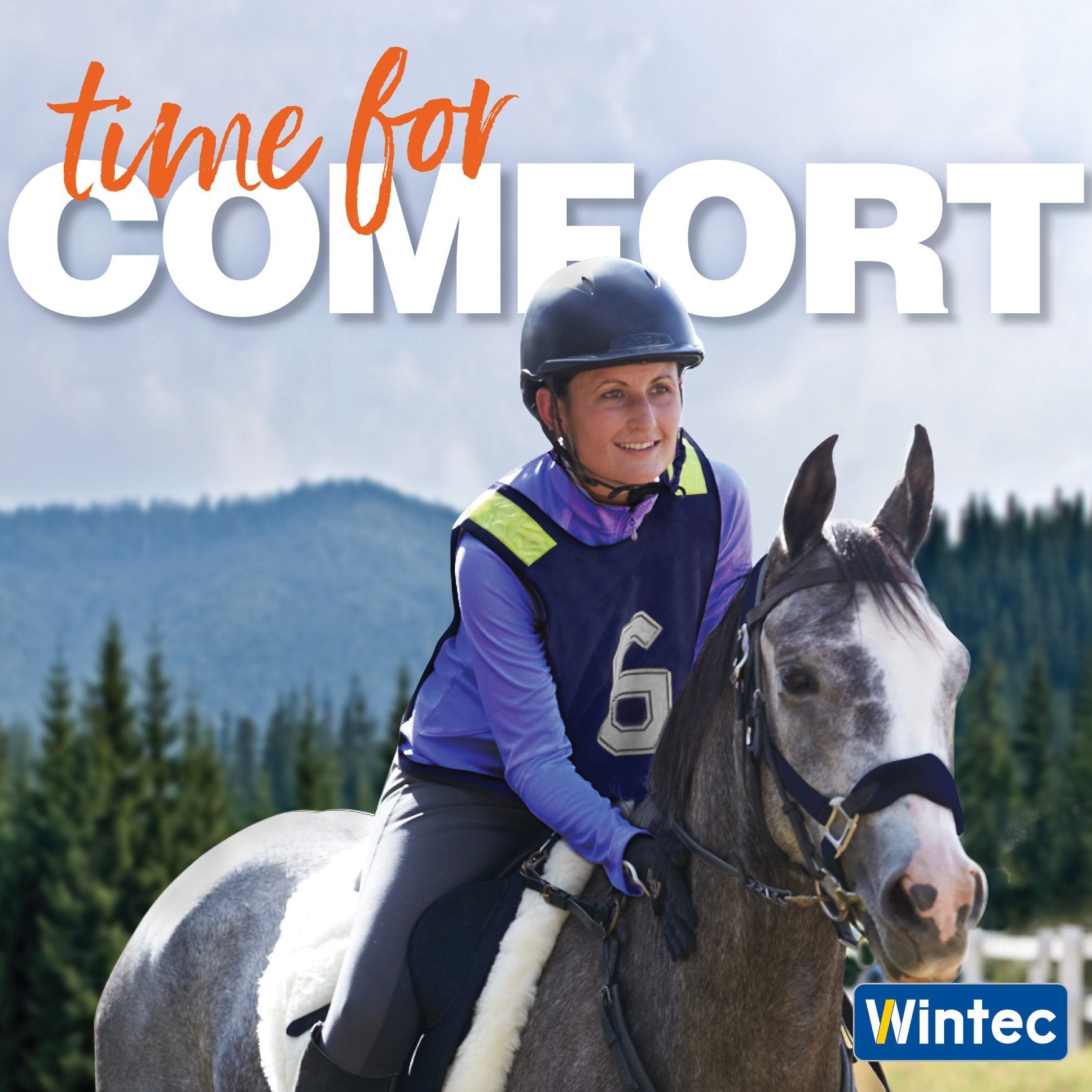 Endurance, Stock, Western and Exercise saddles and accessories – Wintec ...